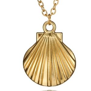 Lazy Beach Girl | Jewelry | Pretty Gold Shell Necklace | Poshmark
